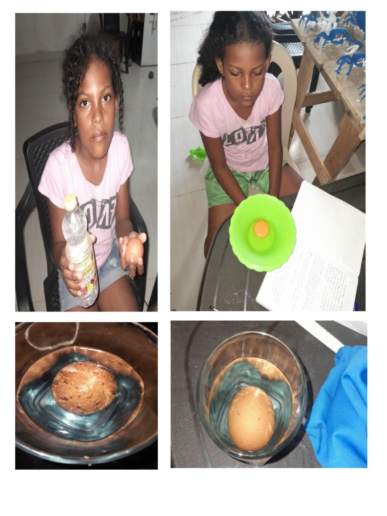 Experimento de Mariam | PDF