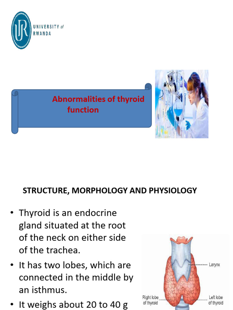 Note On Thyroid Gland | PDF | Thyroid | Thyroid Stimulating Hormone