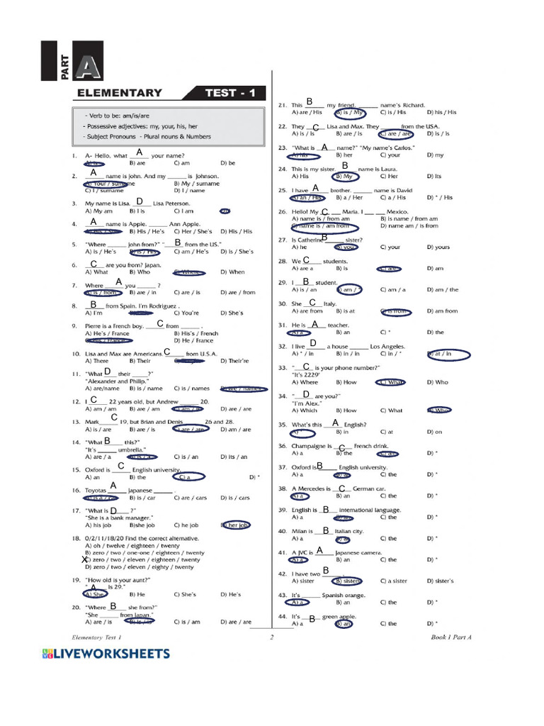Final Exam (Basic 02) - Calderon Yonel | PDF