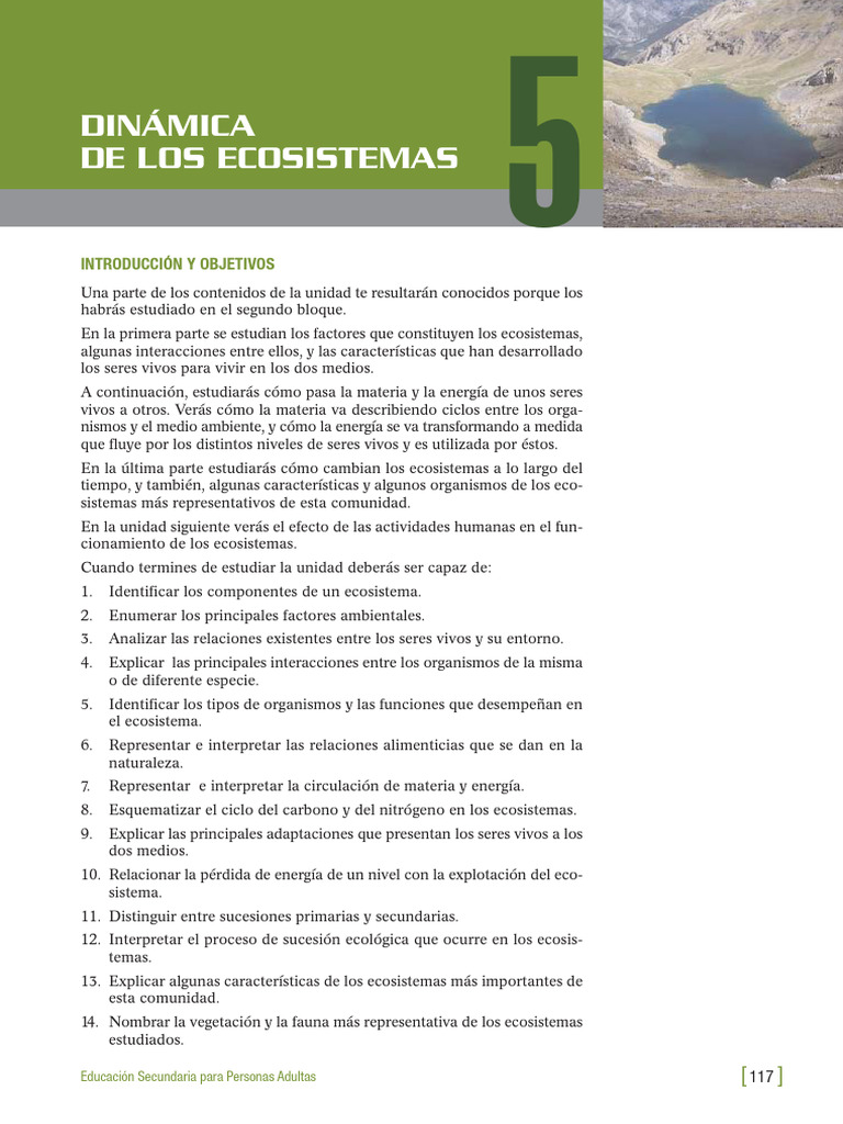 Dinámica de Los Ecosistemas | PDF | Biomasa (Ecología) | Nitrógeno