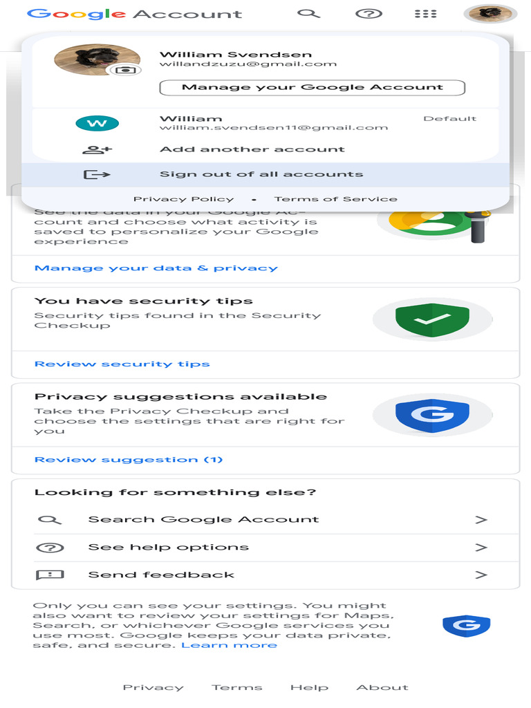 Manage Your Google Privacy Settings | PDF