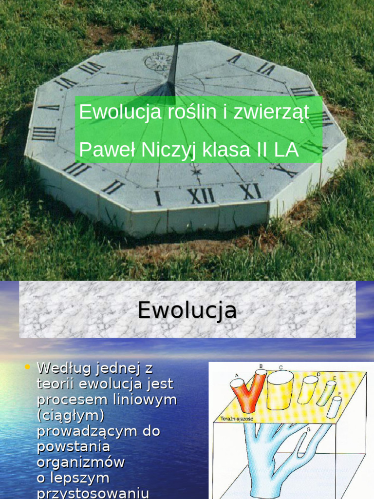 Ewolucja | PDF