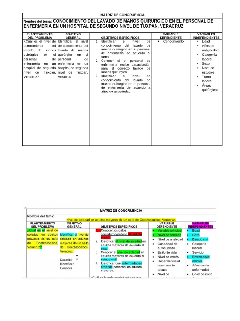 Formato-Matriz de Congruencia | PDF