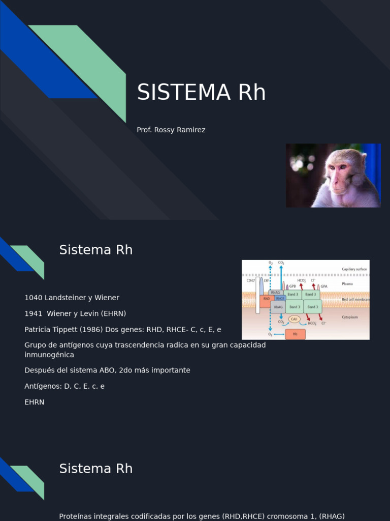 Sistema RH | PDF