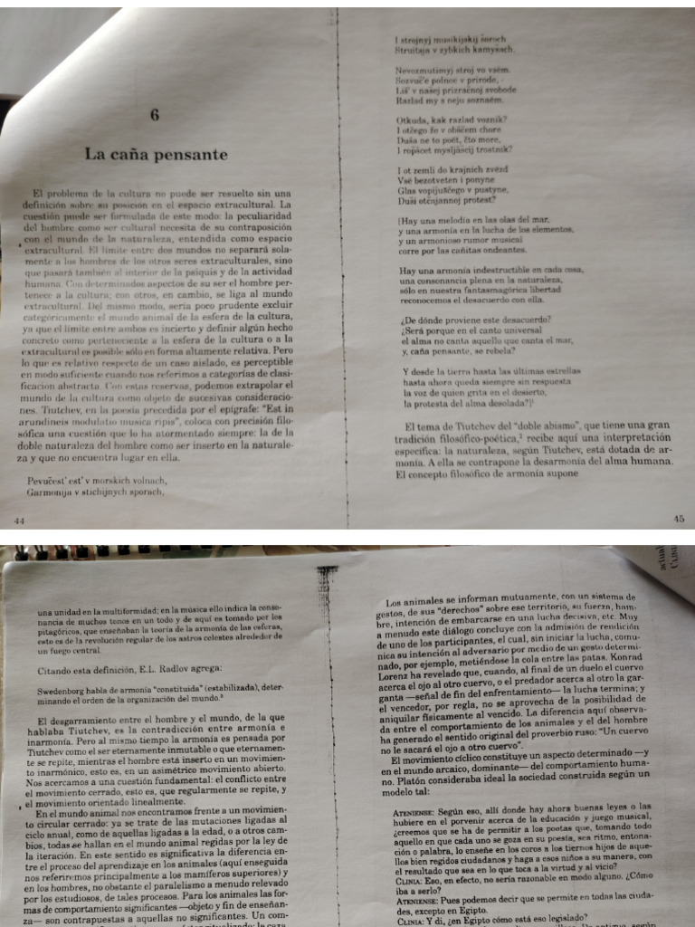 Parte 6 Lotman | PDF