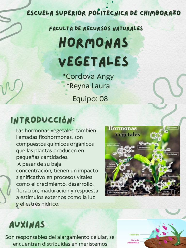 Hormonas Vegetales: Funciones y Tipos | PDF | Hormona Vegetal | Auxina