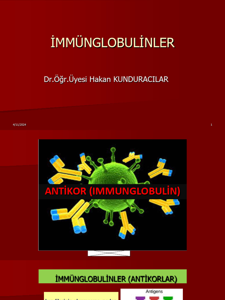 Mİkro 2 Ci Vize | PDF