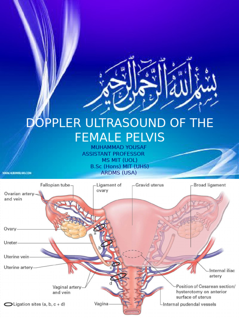 Doppler in Gyne Short | PDF | Ovary | Uterus