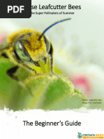 Beekeeping Training Manual | PDF | Honey Bee | Beehive