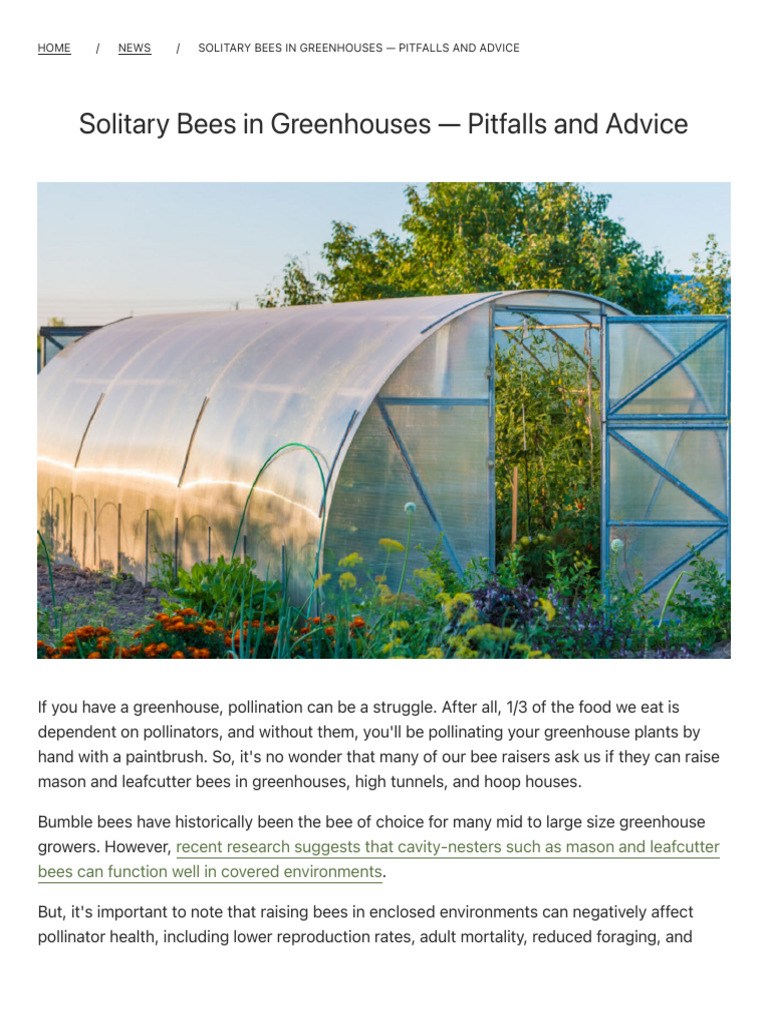 Raising Solitary Bees in Greenhouses | PDF | Bees | Pollination