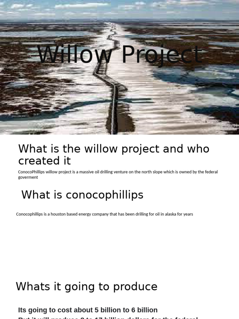 Willow | PDF