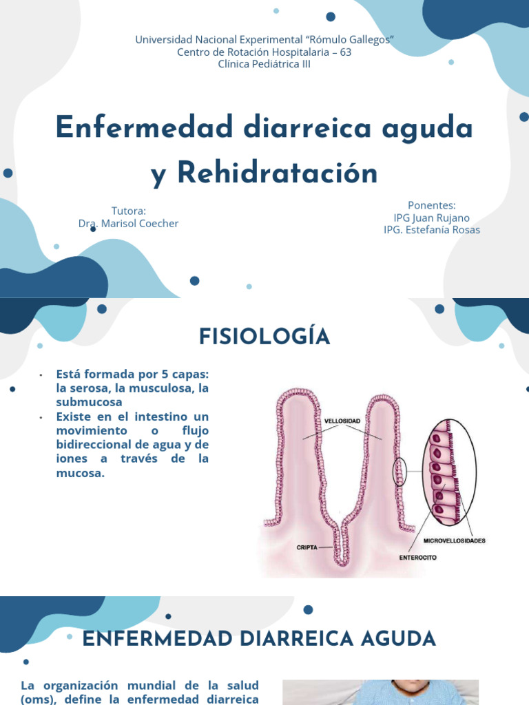 Guía sobre Enfermedad Diarreica Aguda | PDF | Diarrea | Enfermedades y ...