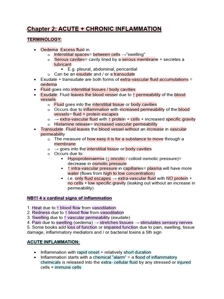 Inflammation Pathology Summary | PDF | Inflammation | White Blood Cell