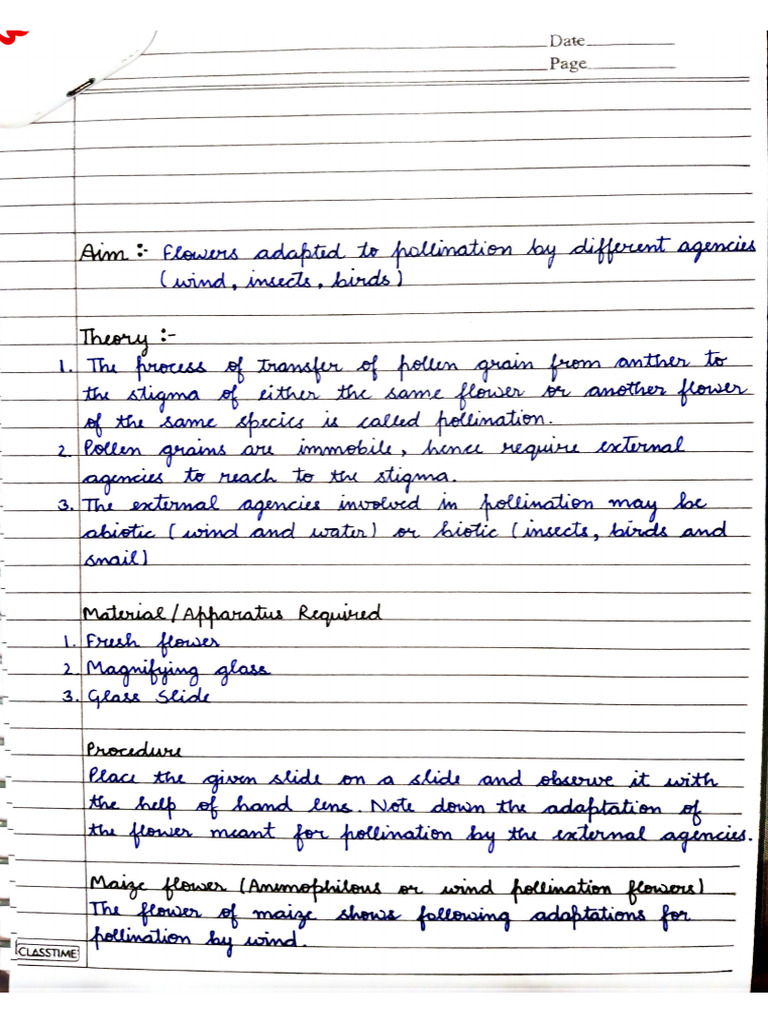 Biology Practicals | PDF