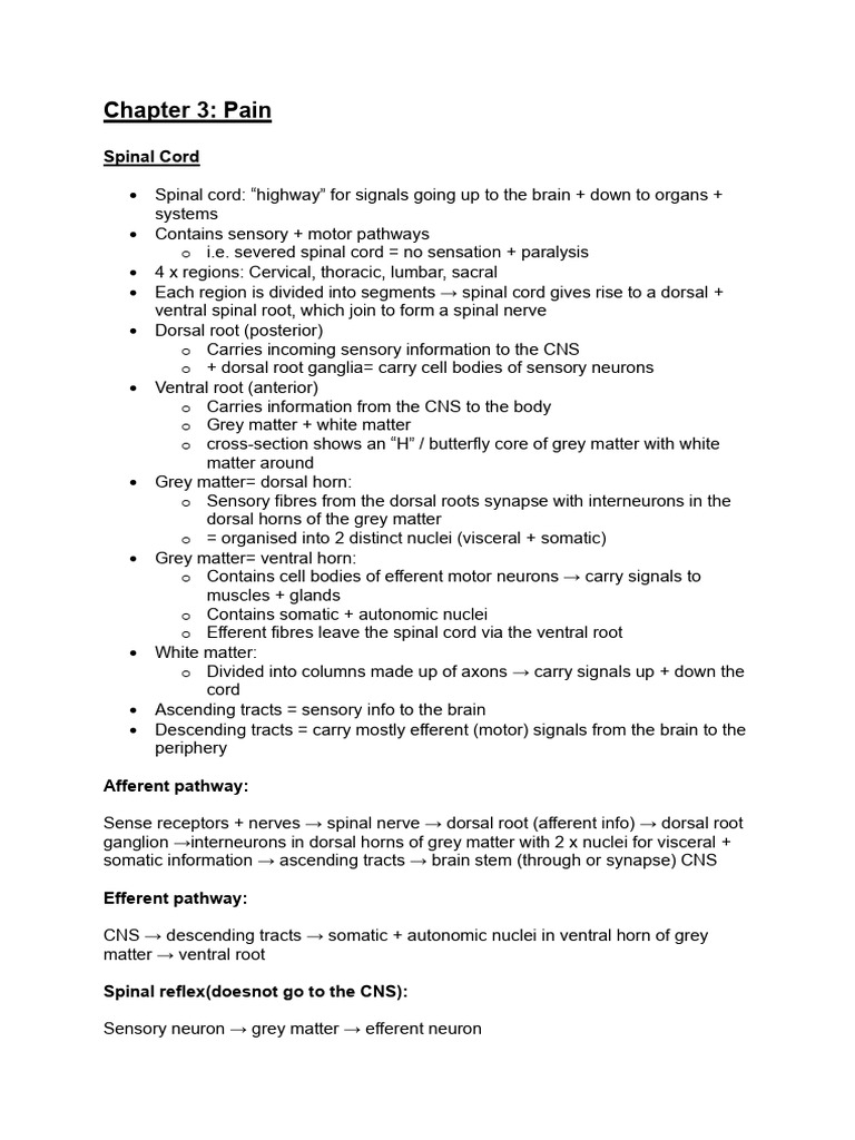 Pain Pathology Full Summary | PDF | Motor Neuron | Spinal Cord