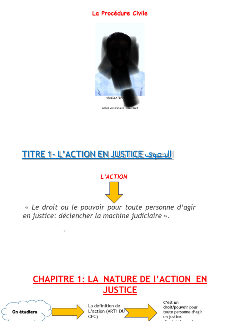 Schéma de la Procédure Civile | PDF | Justice | Crime et violence