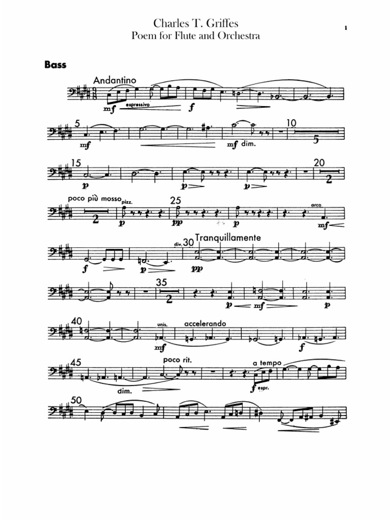 Bass | PDF