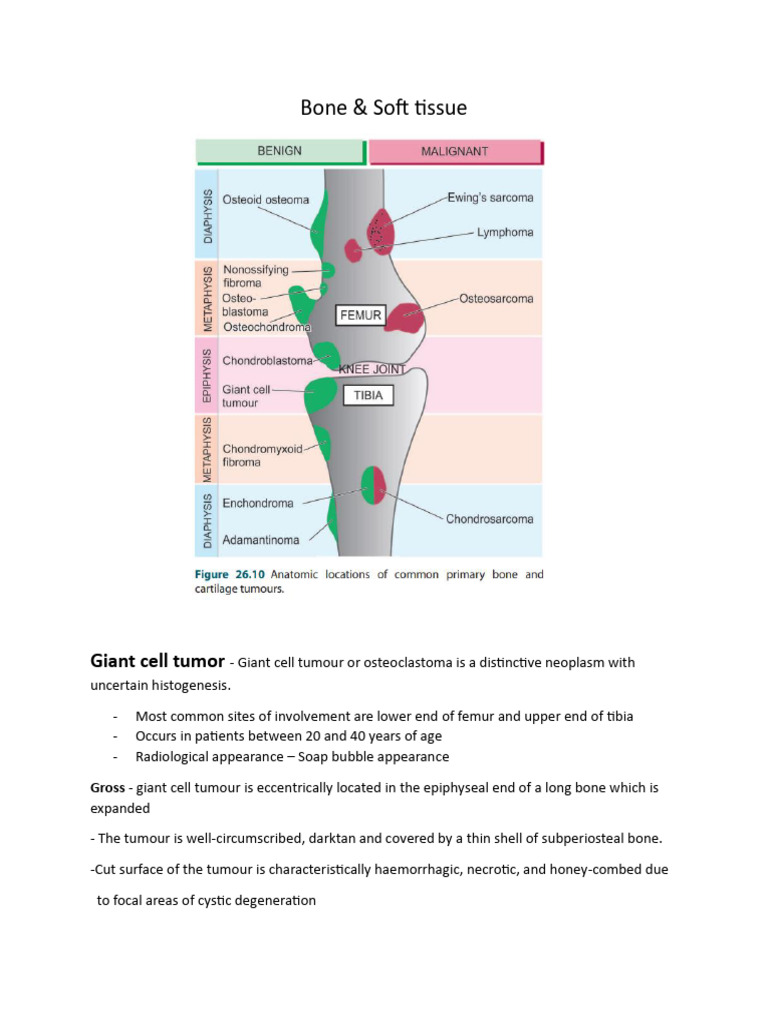 Bone & Soft Tissue - 240724 - 115402 | PDF | Diseases And Disorders ...
