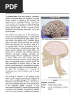 Sdki Slki Siki HYPERVOLEMIA | PDF | Edema | Vein