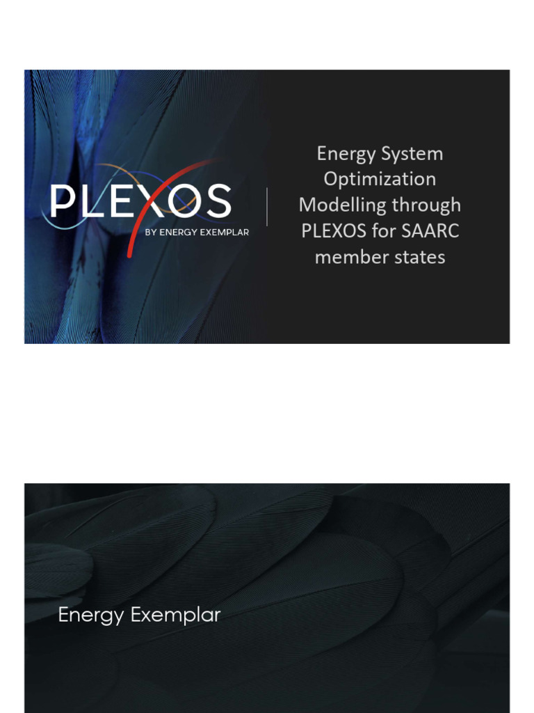 Energy System Optimization Modelling Through PLEXOS For SAARC Member ...