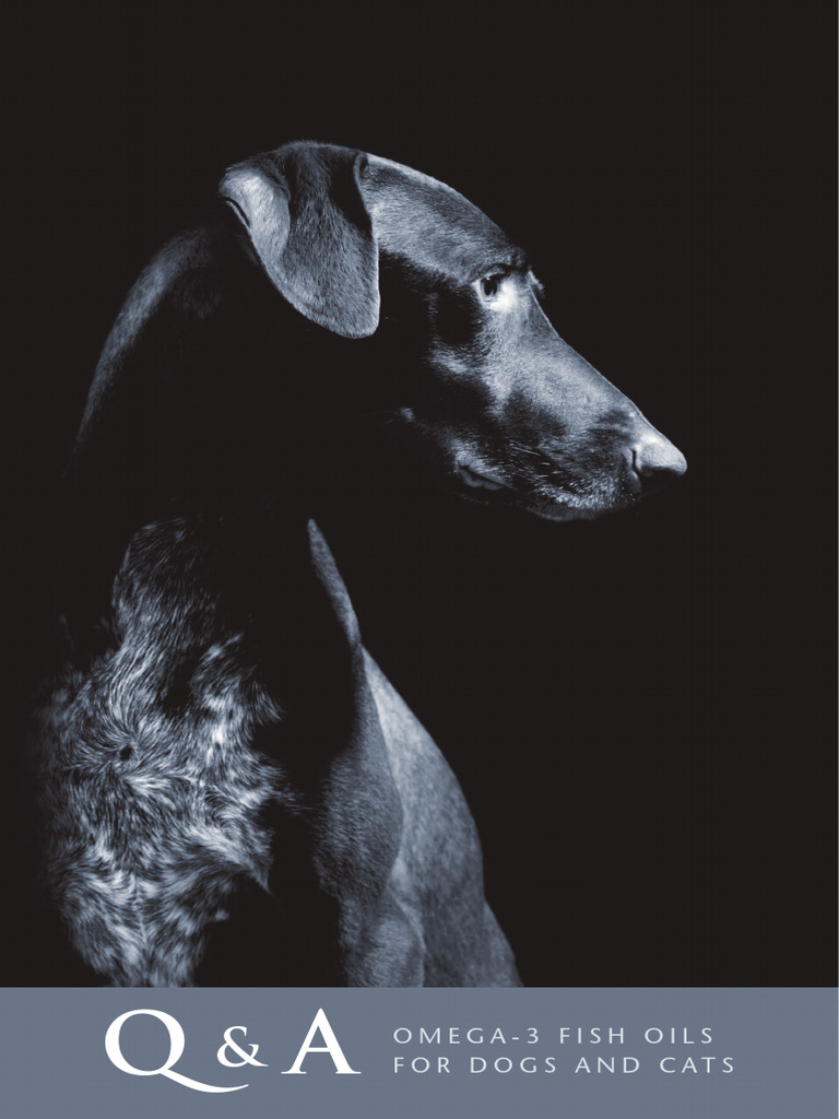 Q & A OMeGA-3 FiSH OilS For DoGS and CATS - Nordic Naturals | PDF ...