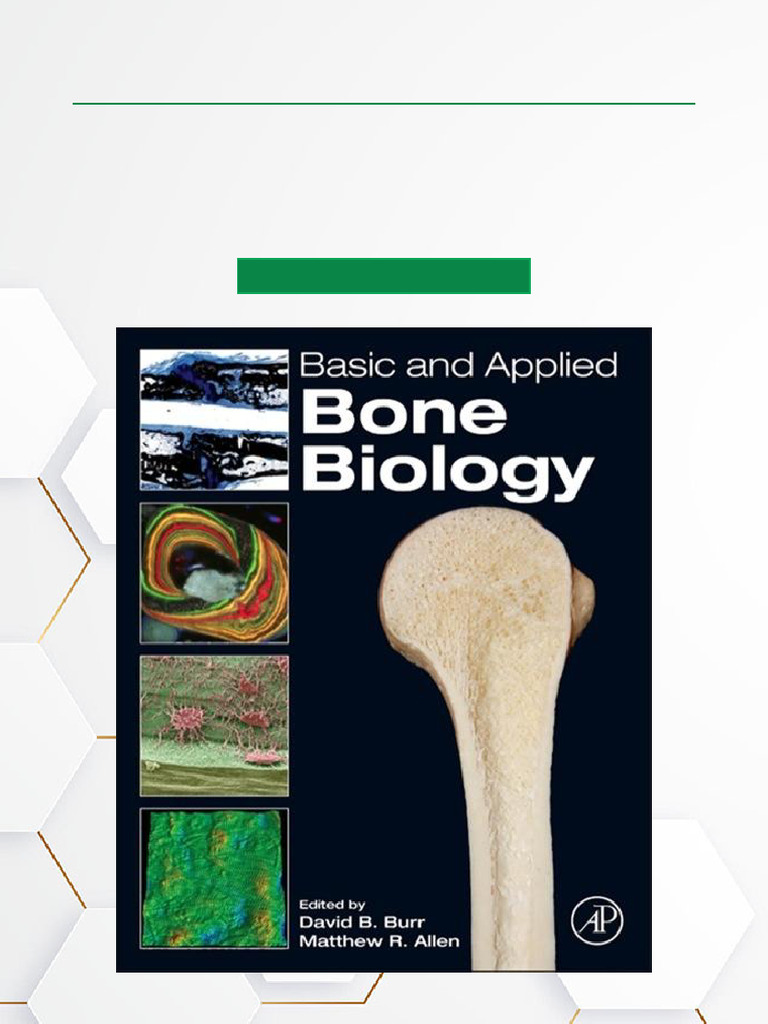 Basic and Applied Bone Biology Book | PDF | Bone | Collagen