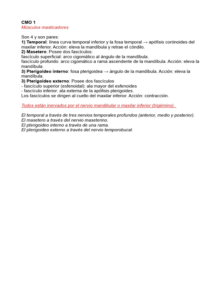 CMO 1 Músculos Masticadores | PDF