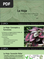 Inserto Spinreact | PDF | Colesterol | Glucosa