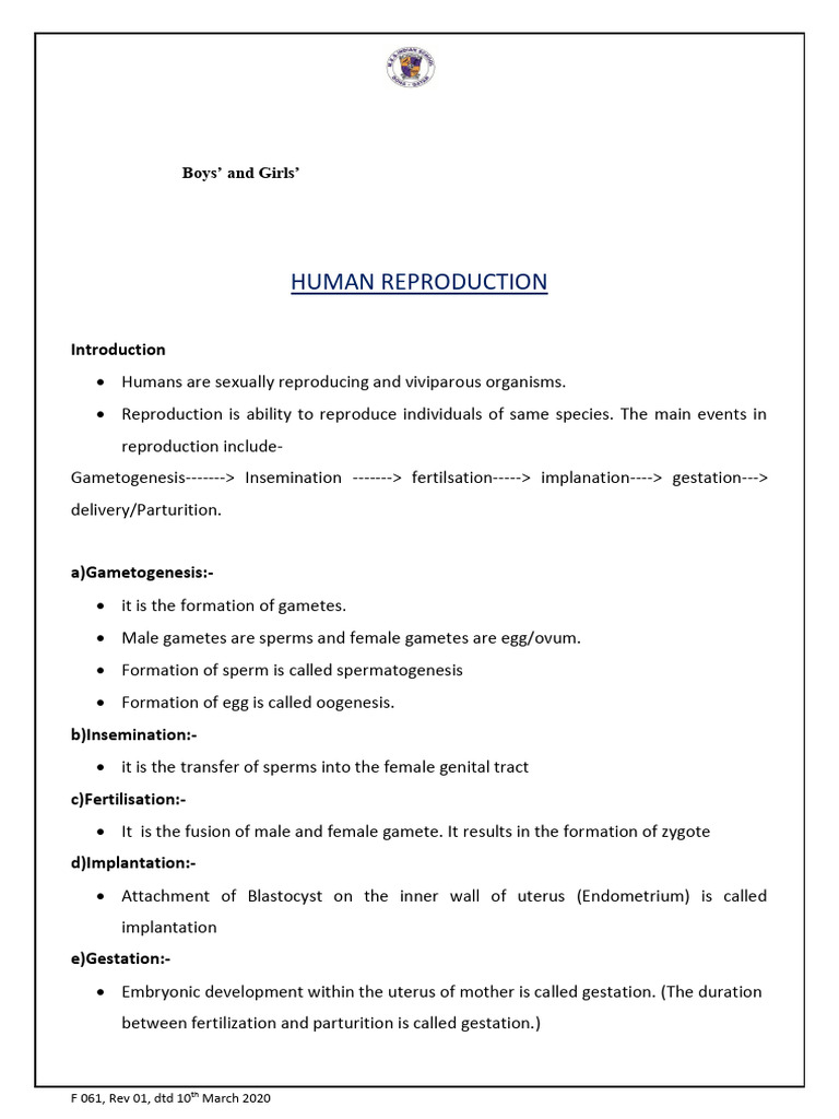 Xii Human Reproduction Notes | PDF | Menstrual Cycle | Testicle