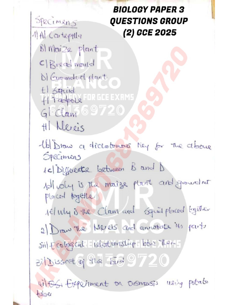 Biology Pp3 Practical Questions Group 2 Gce 2025 | PDF