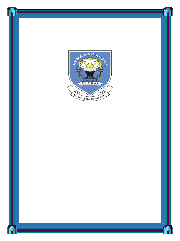 Ayantu Mohammed | PDF | Internally Displaced Person