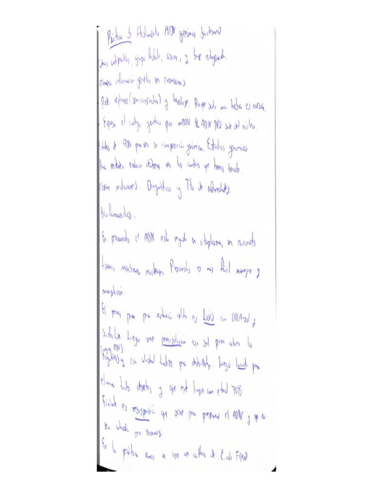 Práctica 3. Extracción de ADN genómico | PDF