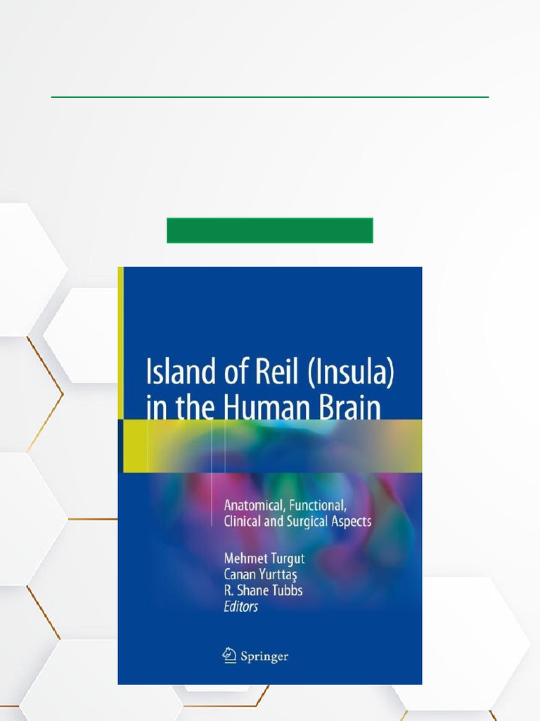 Island of Reil (Insula) in The Human Brain Anatomical, Functional ...