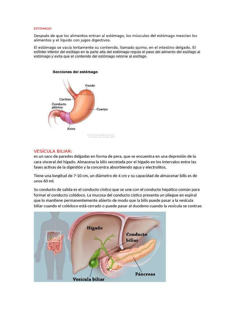 tarea de C.T.C Brayan | PDF
