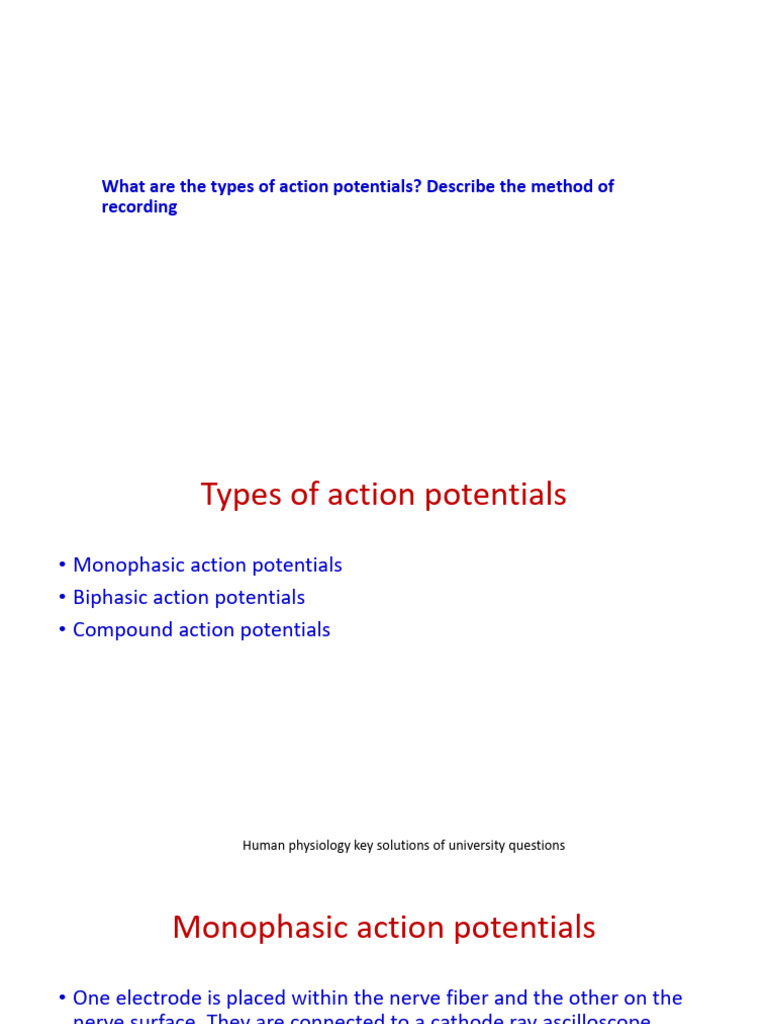 Types of Action Potential | PDF