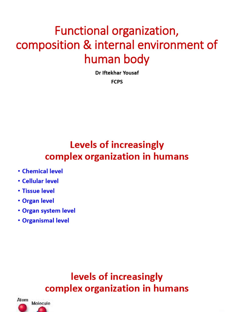 Homeostasis & Internal Environment | PDF | Human Body | Physiology