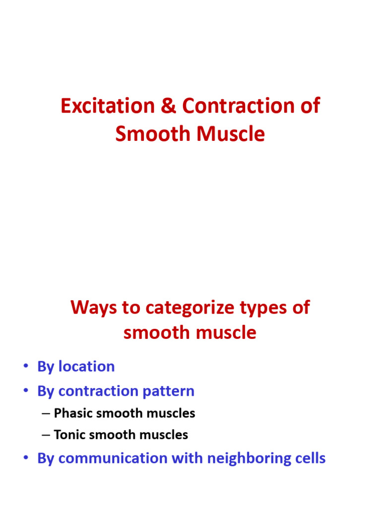 Smooth Muscle Physiology | PDF | Muscle Contraction | Muscle