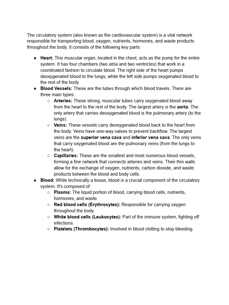 The Circulatory System | PDF | Circulatory System | Blood