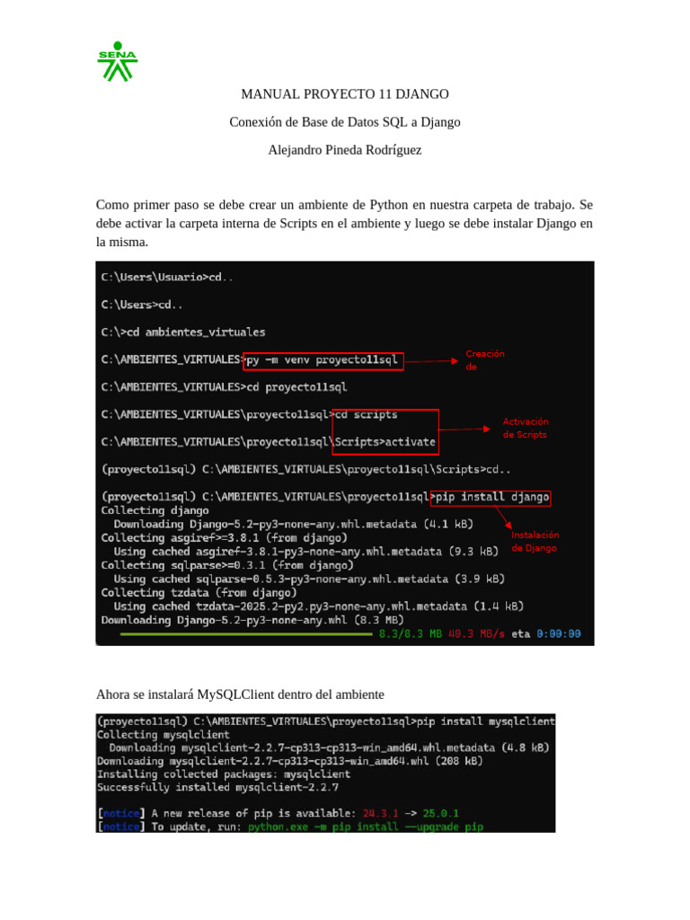 Manual Proyecto 11 Django | PDF