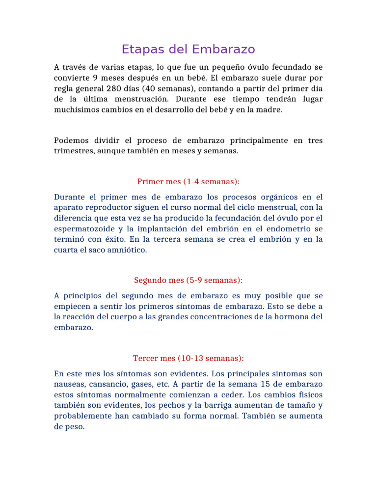 Etapas del Embarazo: Guía Completa | PDF | El embarazo | Feto