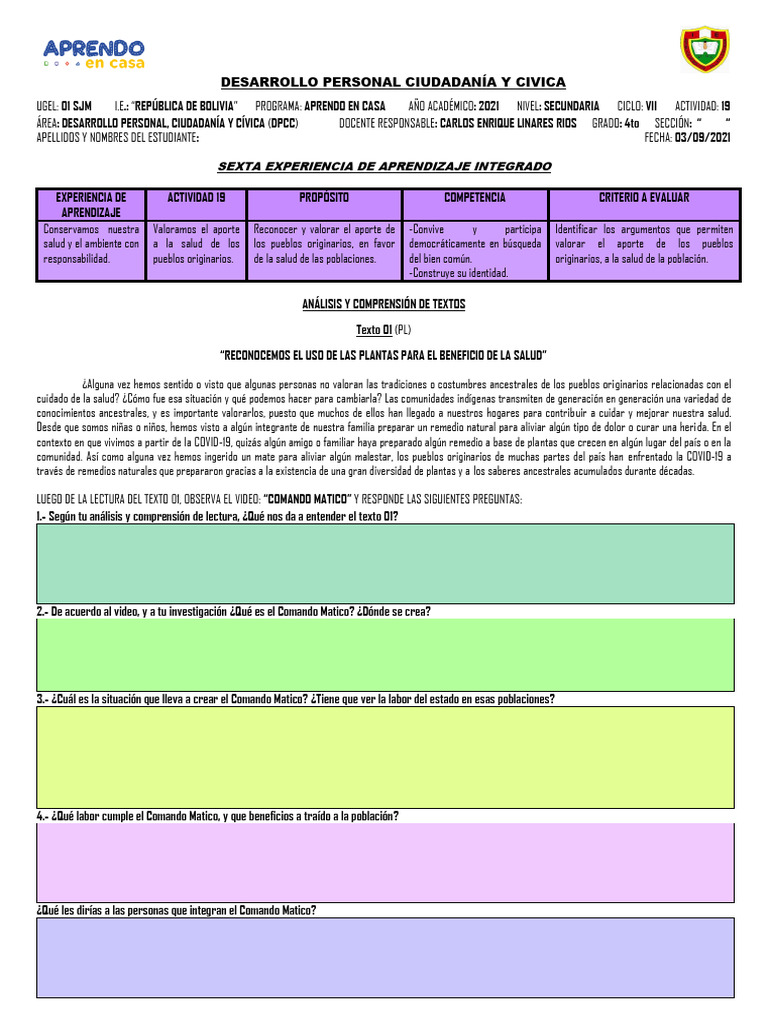 4° DPCC Act. 19 (03 de septiembre) | PDF | Plantas medicinales | Plantas