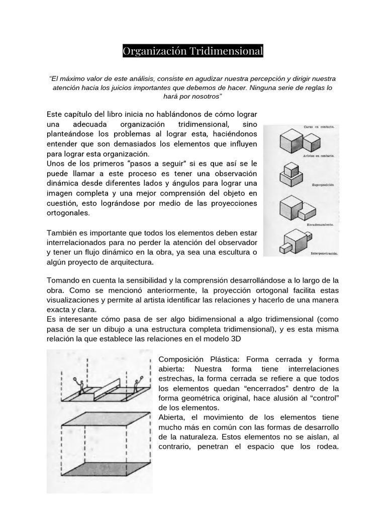 Reporte Lectura La Organización Tridimensional | PDF