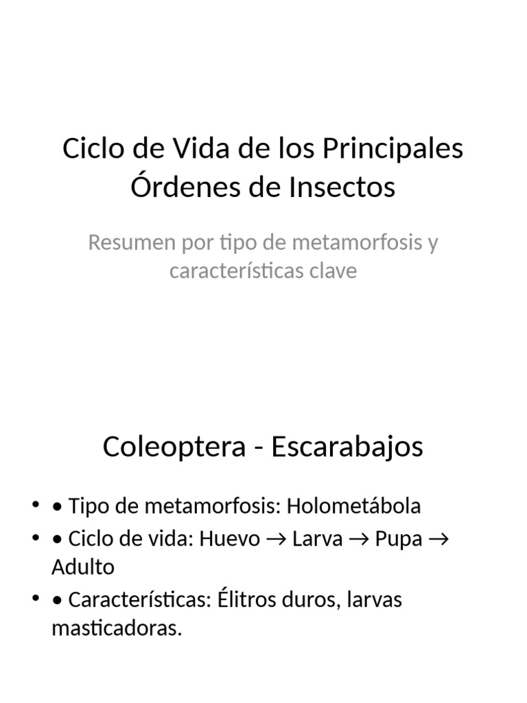 Ciclo de Vida de Insectos por Metamorfosis | PDF