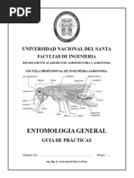 Guía de Colecta y Preservación de Insectos | PDF | Insectos | Taxonomía ...