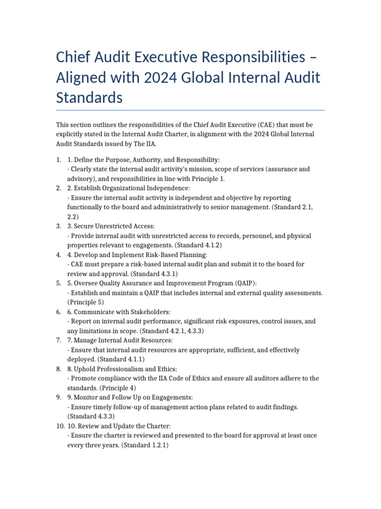 Chief Audit Executive Duties per 2024 Standards | PDF