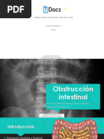 Guía Práctica sobre Obstrucción Intestinal | PDF | Tracto ...