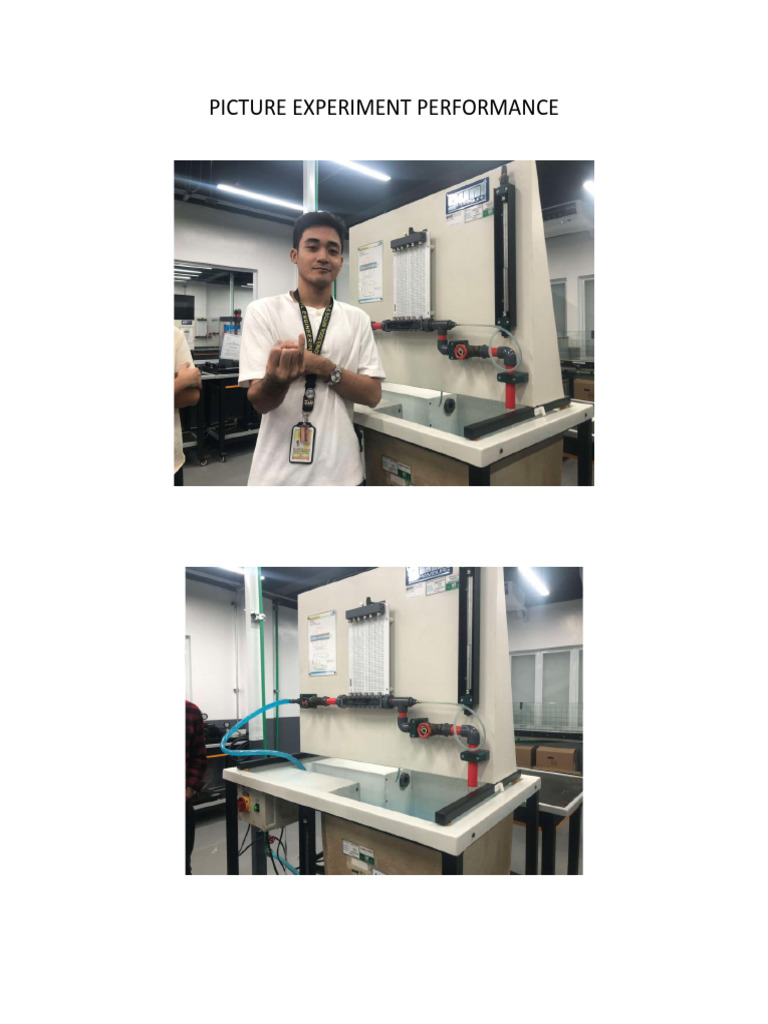 Picture Experiment Performance | PDF