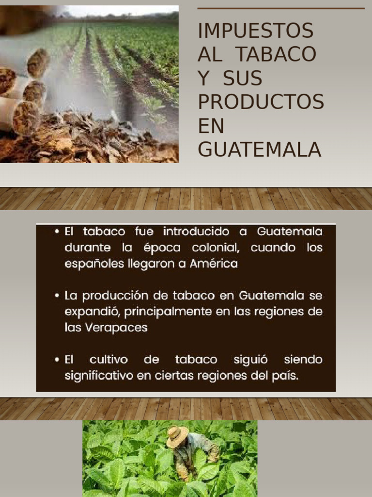 Impuesto al Tabaco en Guatemala | PDF | Impuestos | Guatemala