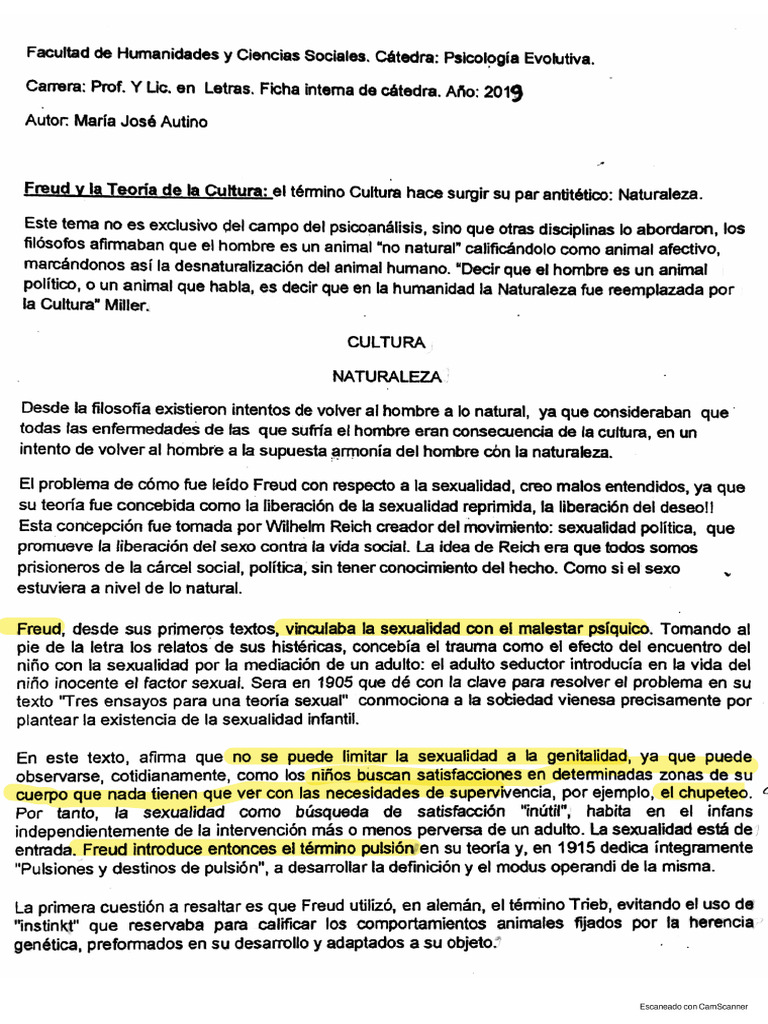 Freud y La Teoria de La Cultura - Autino | PDF