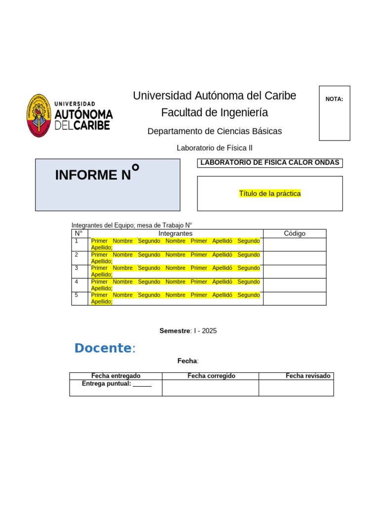PLANTILLA PARA LOS INFORMES 202501 | PDF